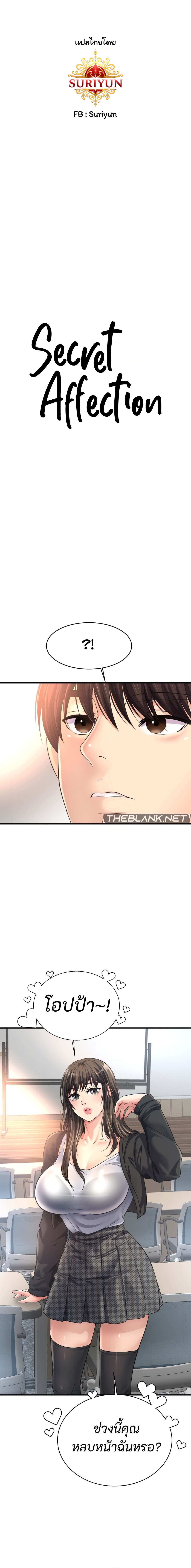 Secret Affection 11 - doujinmoon